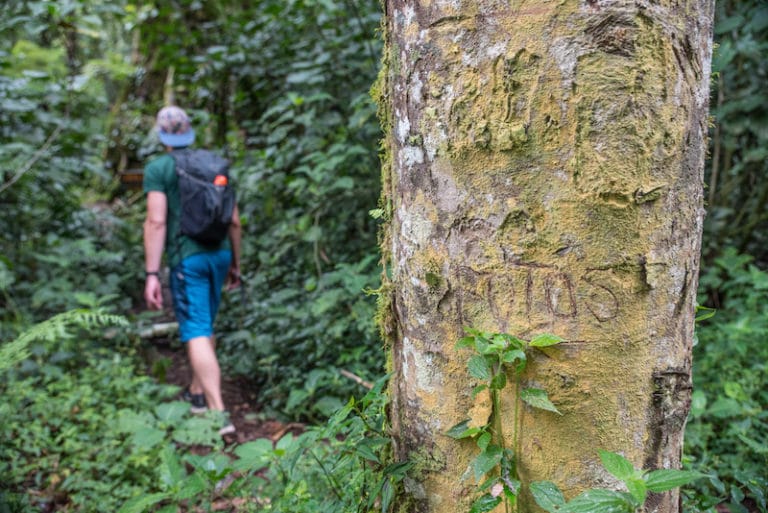 Hiking In Panama: The Best Trails In Boquete - Jessie on a Journey