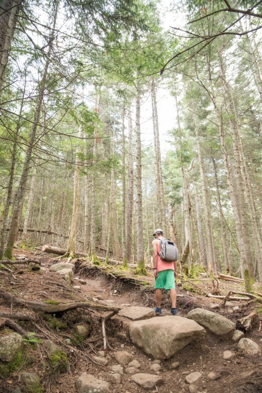Ultimate Mt Marcy Hiking Guide - Highest Peak In New York