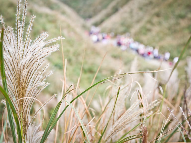 13 Best Hiking Trails in Taiwan You Shouldn't Miss (Epic!)
