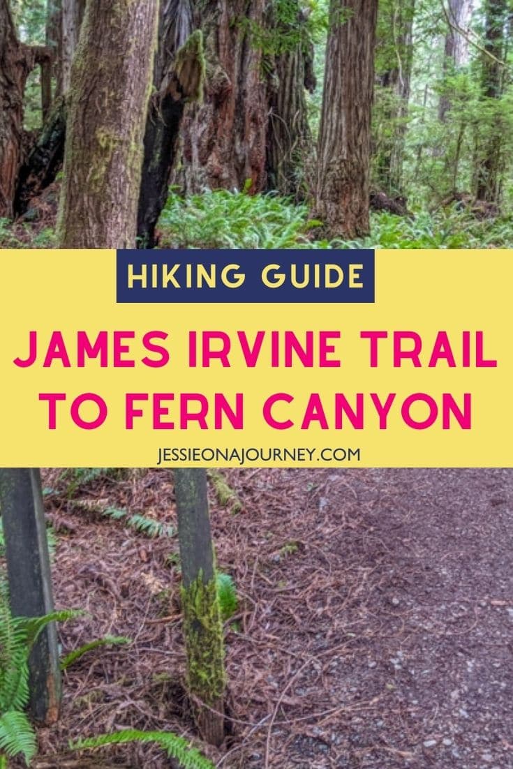 How To Hike The James Irvine Trail To Fern Canyon For Amazing Scenery