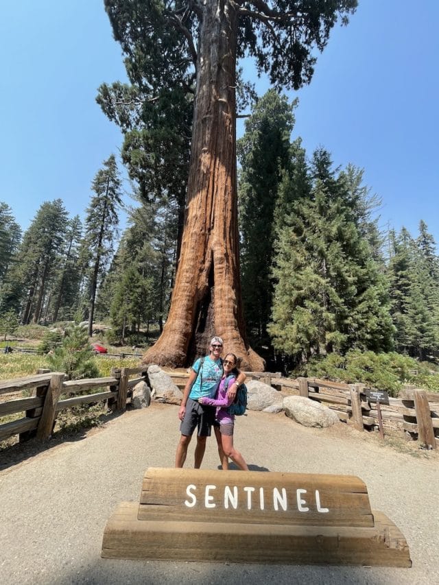 One Day In Sequoia National Park: The Perfect Itinerary (Epic!)