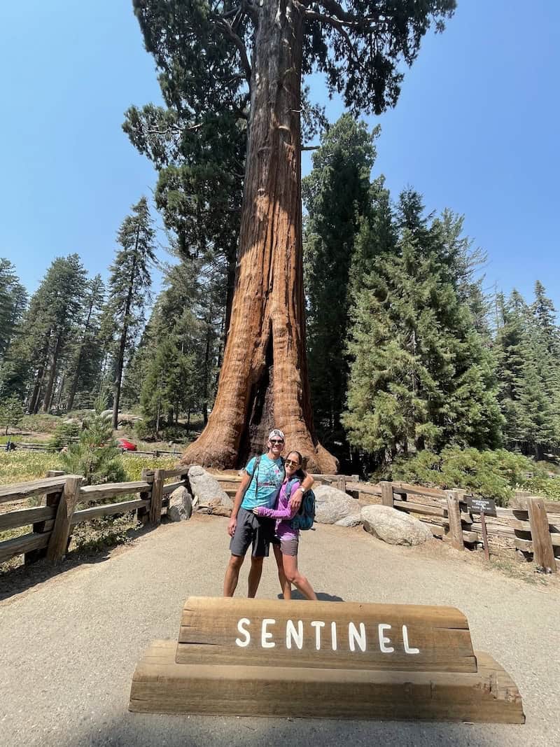 One Day In Sequoia National Park: The Perfect Itinerary (Epic!)