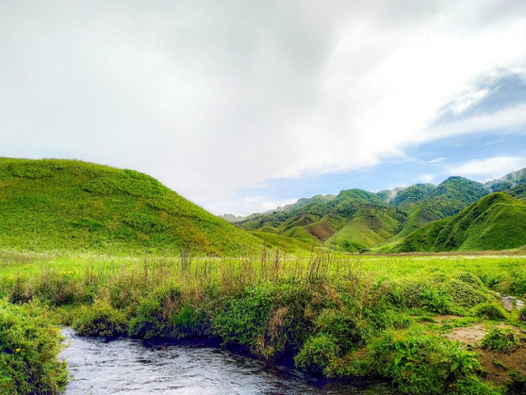 Dzükou Valley Trek: Your Ultimate Guide To India's Famous Hike