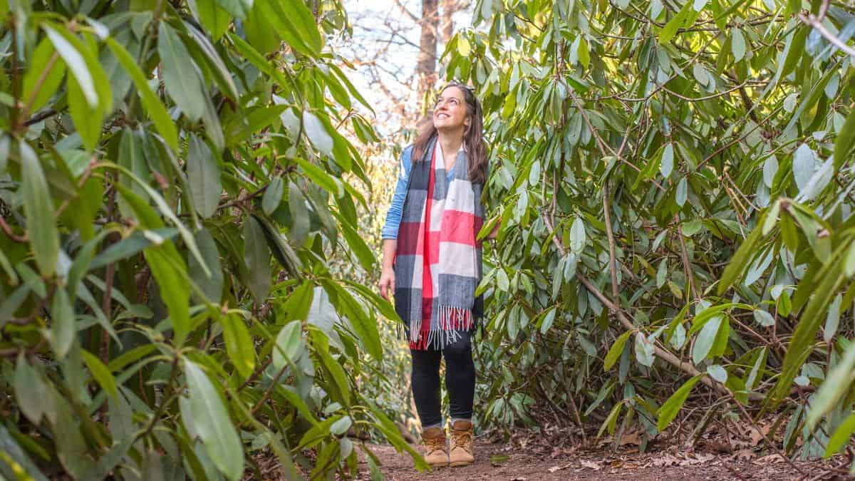 The Bronx Travel Guide - Best Places To Visit In The Bronx NYC