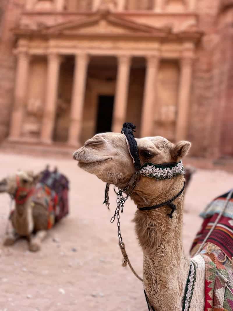 Jordan Solo Travel: How To Have A Safe & Fun Solo Trip To Jordan