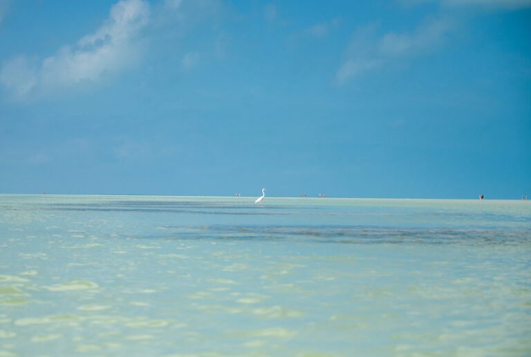6 Best Beaches In Holbox, Mexico (Stunning!)