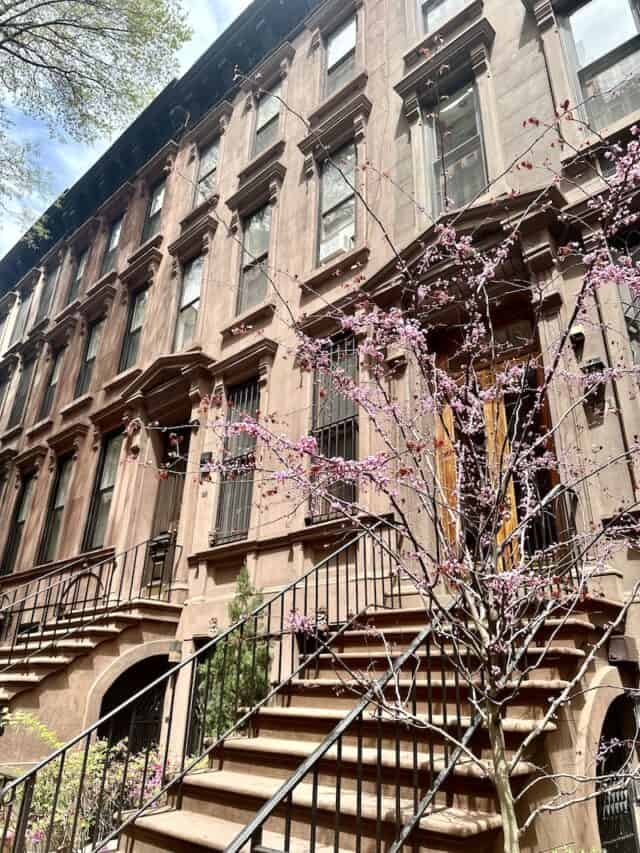 37 Best Things To Do On The Upper East Side NYC (From A Local)